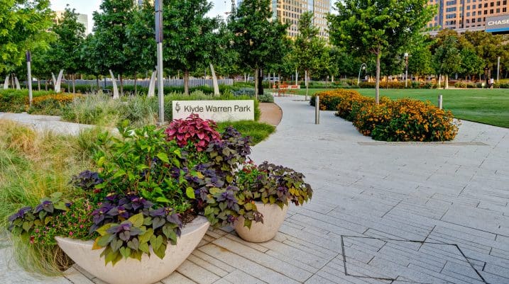 Level Up: Southern Botanical’s Commitment to Quality Drives Company ...