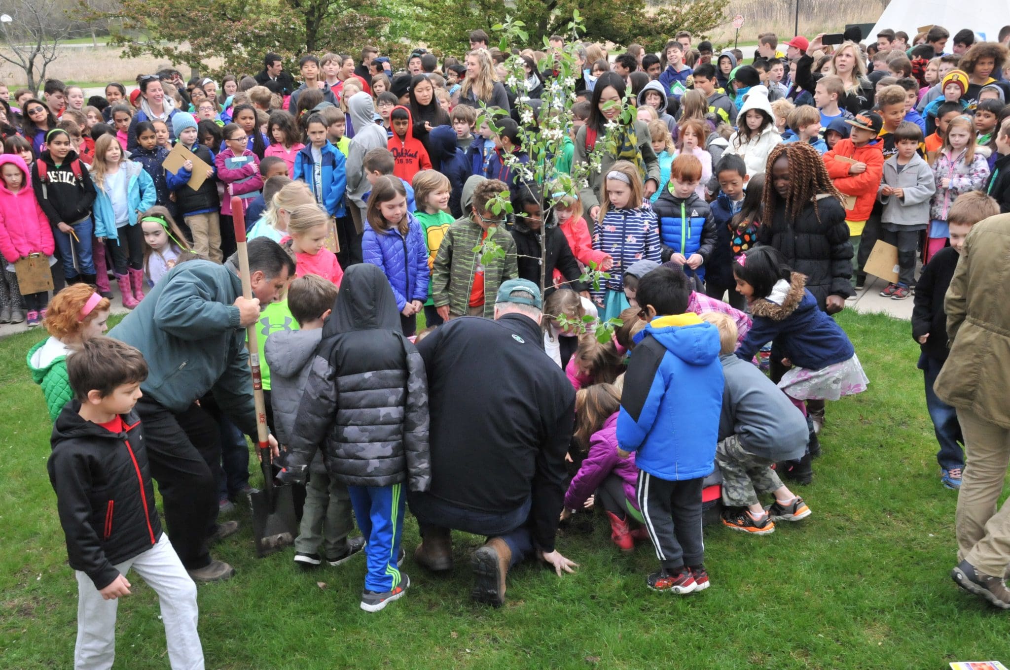 Celebrate Arbor Day by Planting Trees Properly - The Edge from the ...