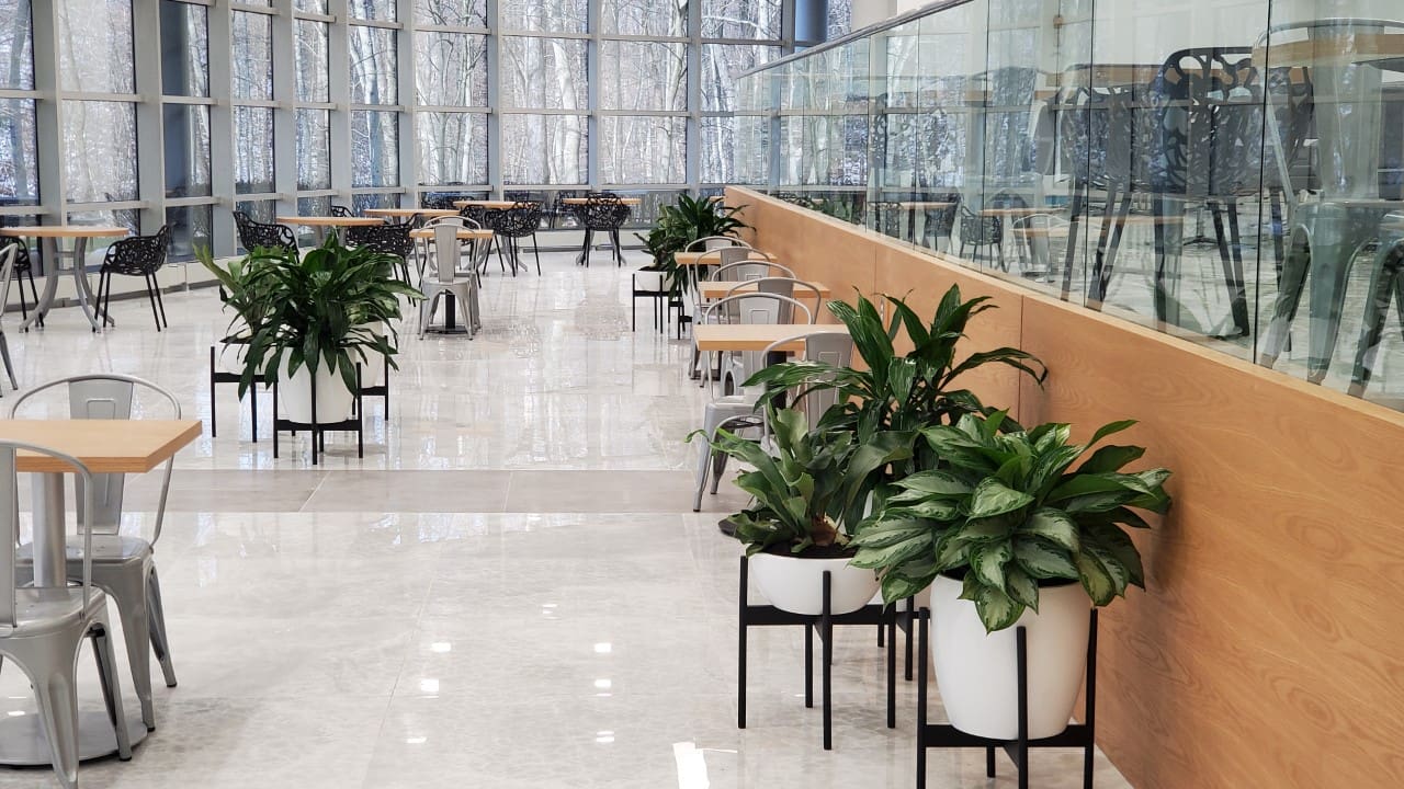 Exploring the Biophilic Design Trend - The Edge from the National ...