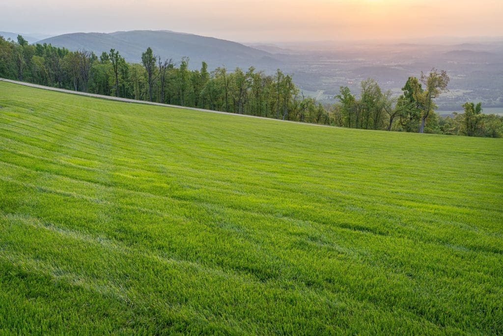 Landscapes of the Month: Establishing Turf on a Mountainside - The Edge ...