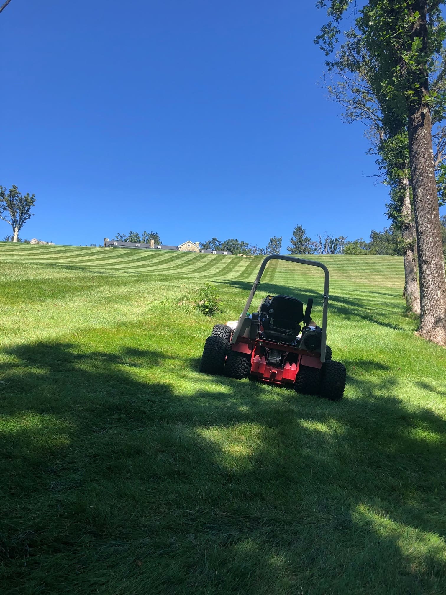 Landscapes of the Month: Establishing Turf on a Mountainside - The Edge ...