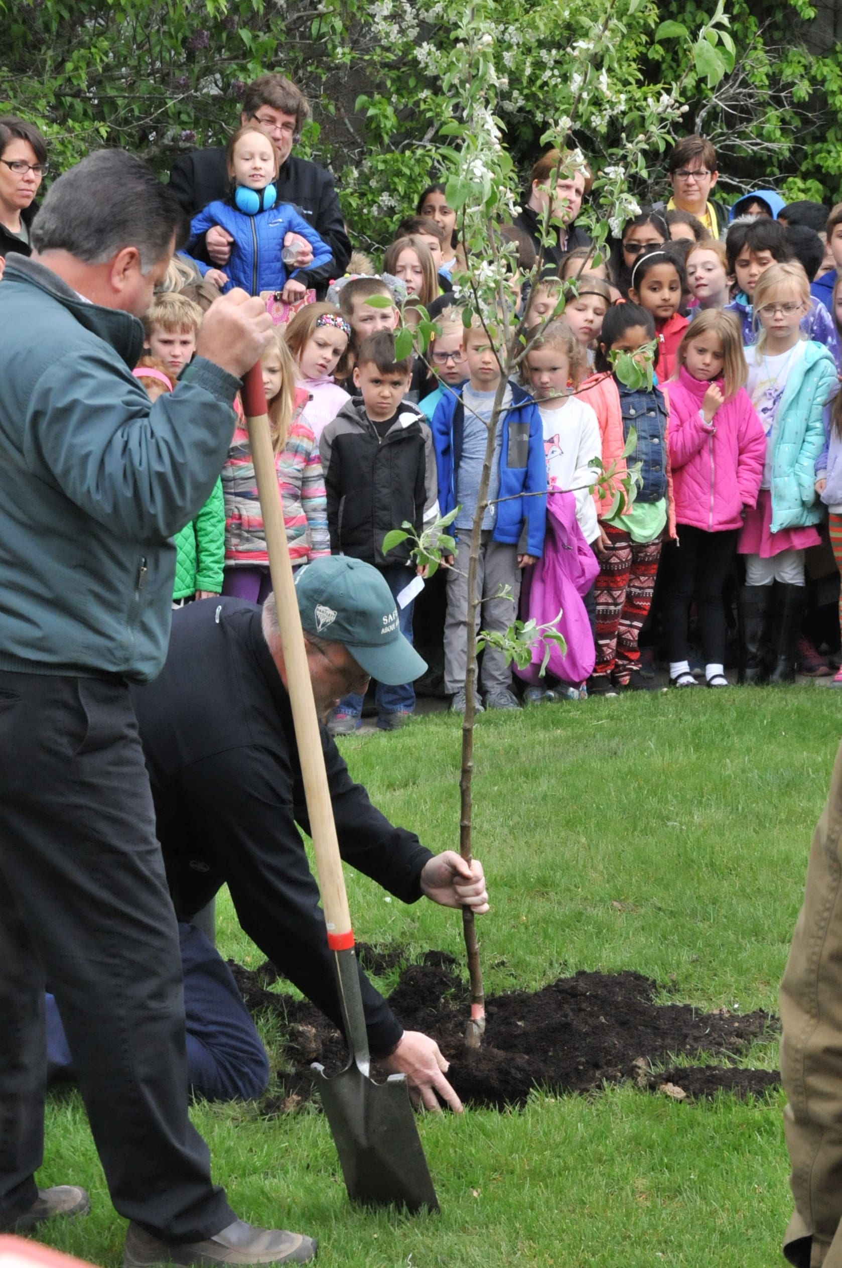 Celebrating Arbor Day Shows Hope for the Future - The Edge from the ...