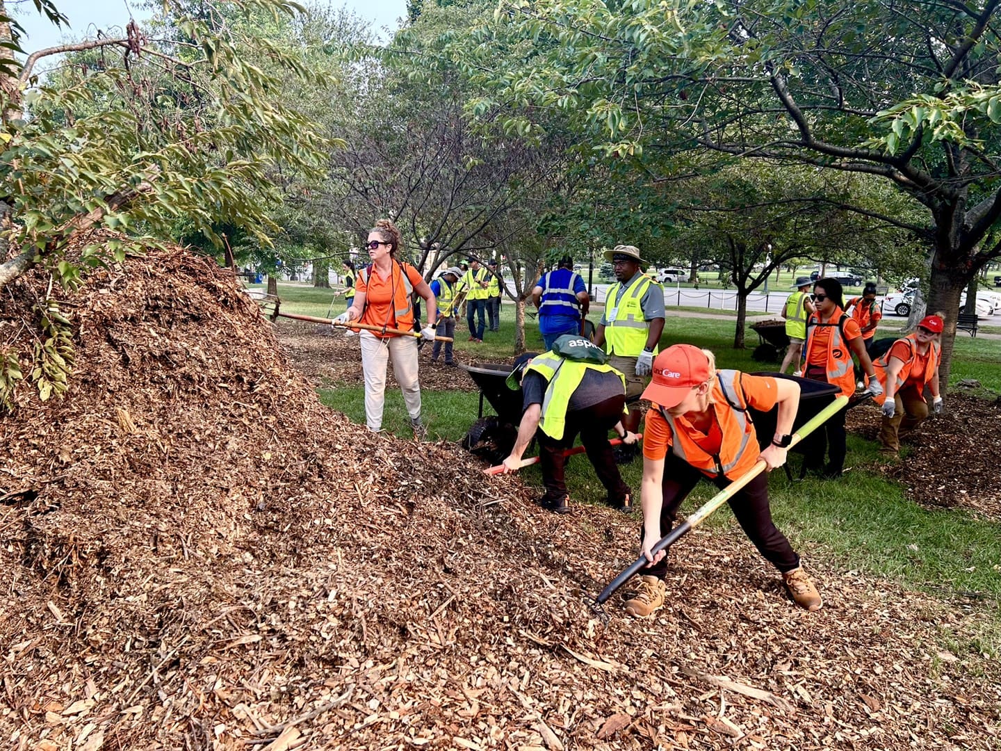 Lawn and Landscape Professionals Volunteer for the 27th Renewal ...