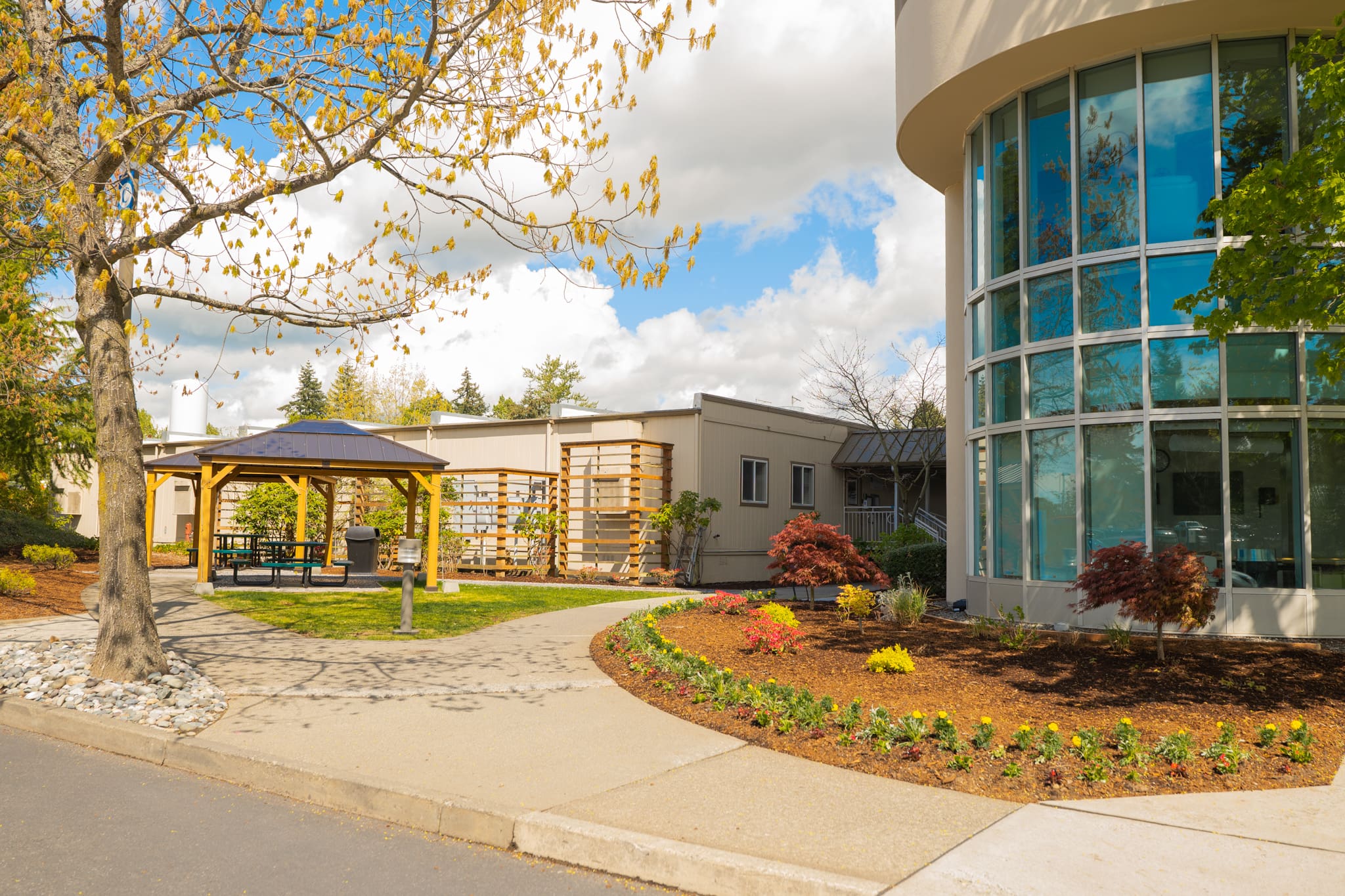 Level Up: MSNW Group, LLC Thrives With a Culture of Caring - The Edge ...