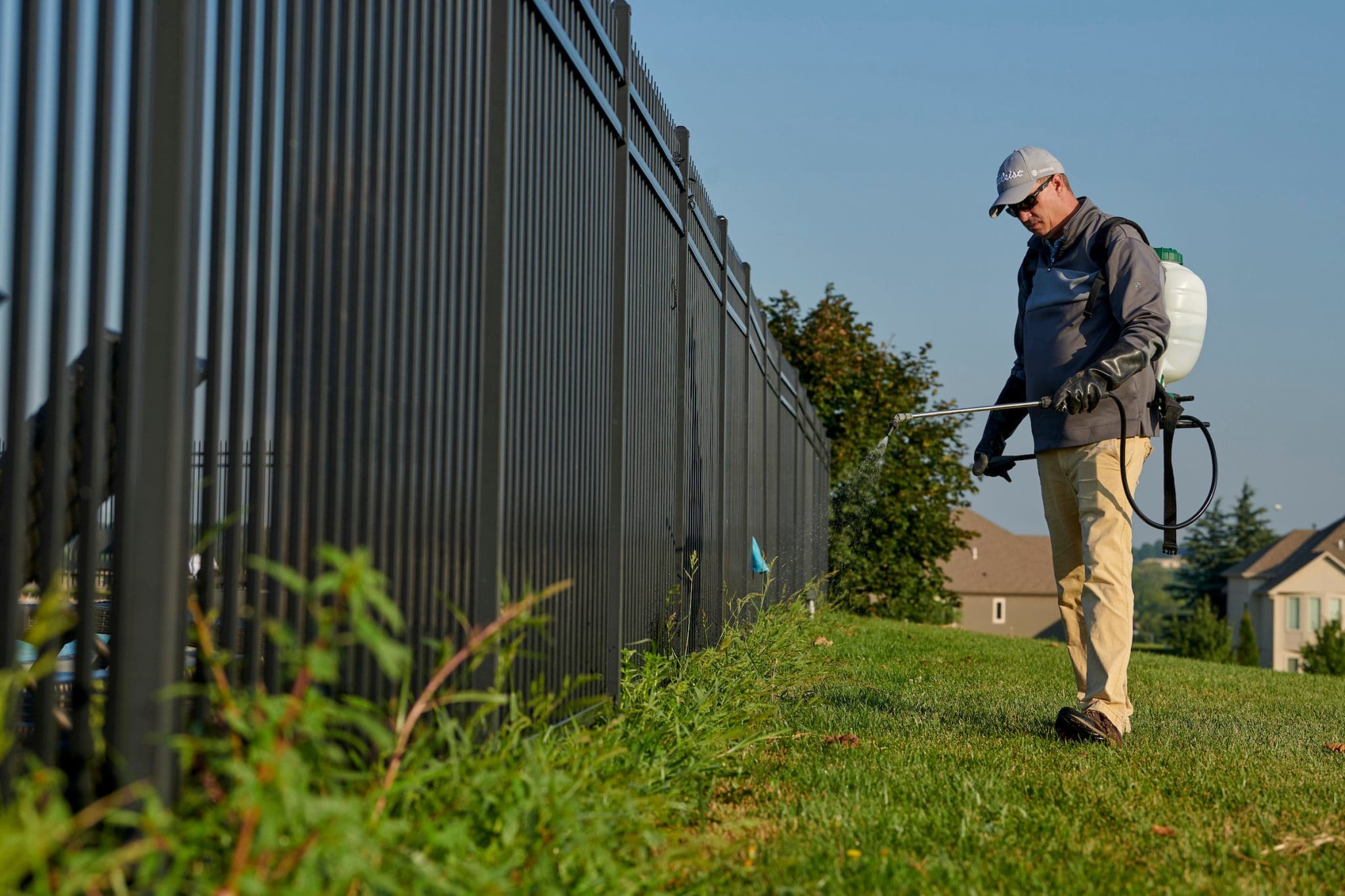 Lawn Care: Sedge Control Methods - The Edge from the National ...