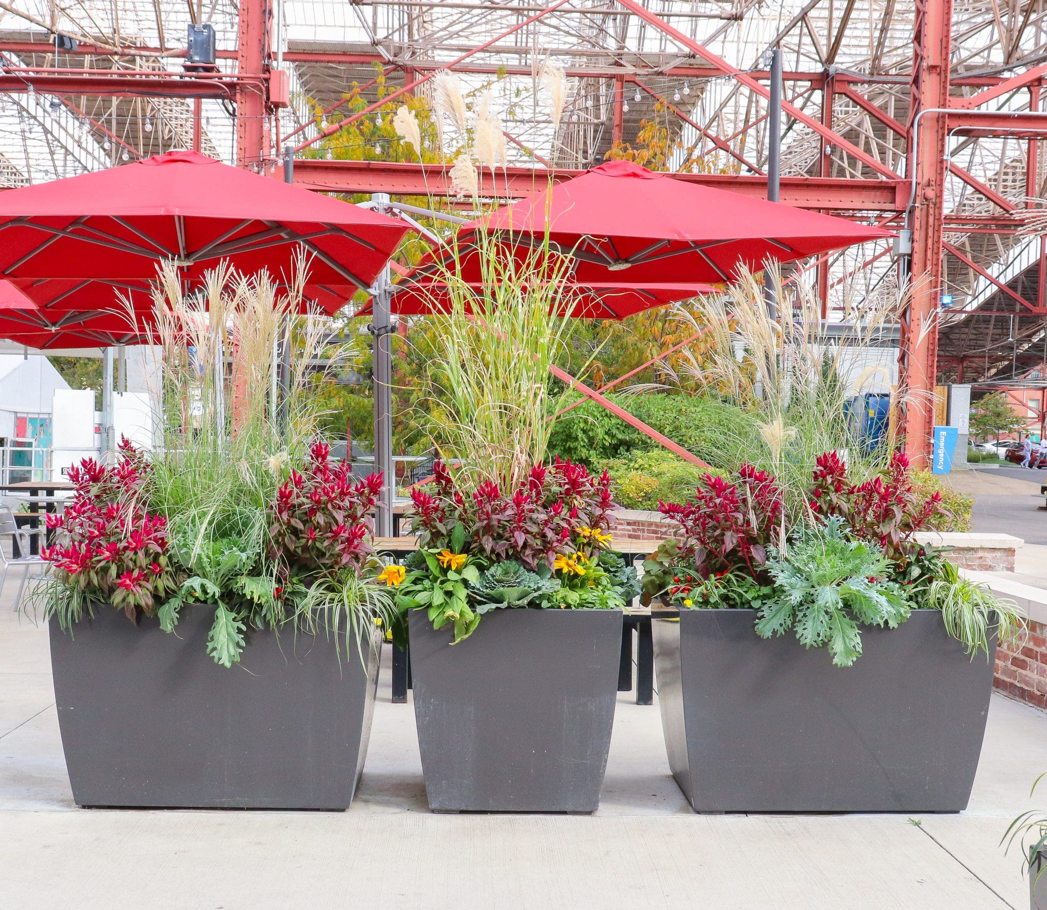 Growing Green Passes the Reins To Long-Time Employees - The Edge from ...