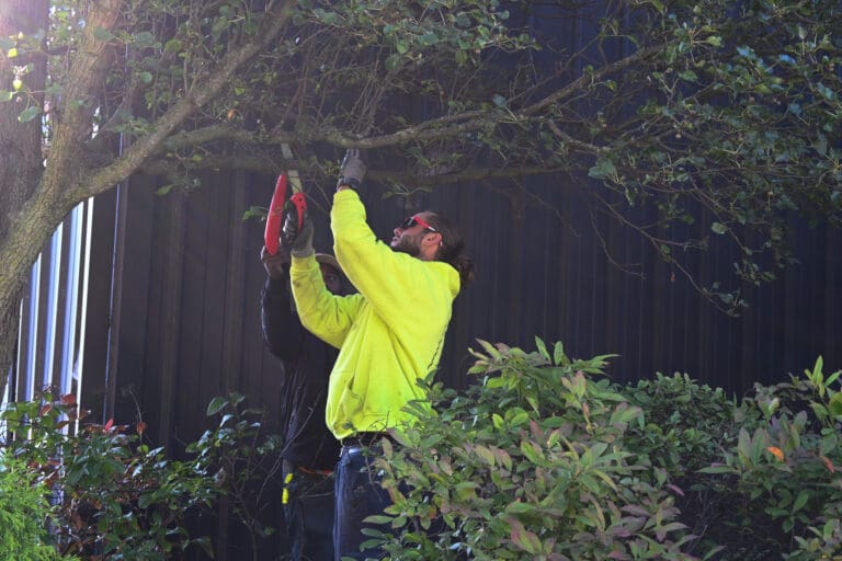 Exploring Different Landscape Companies’ Training Models - The Edge ...