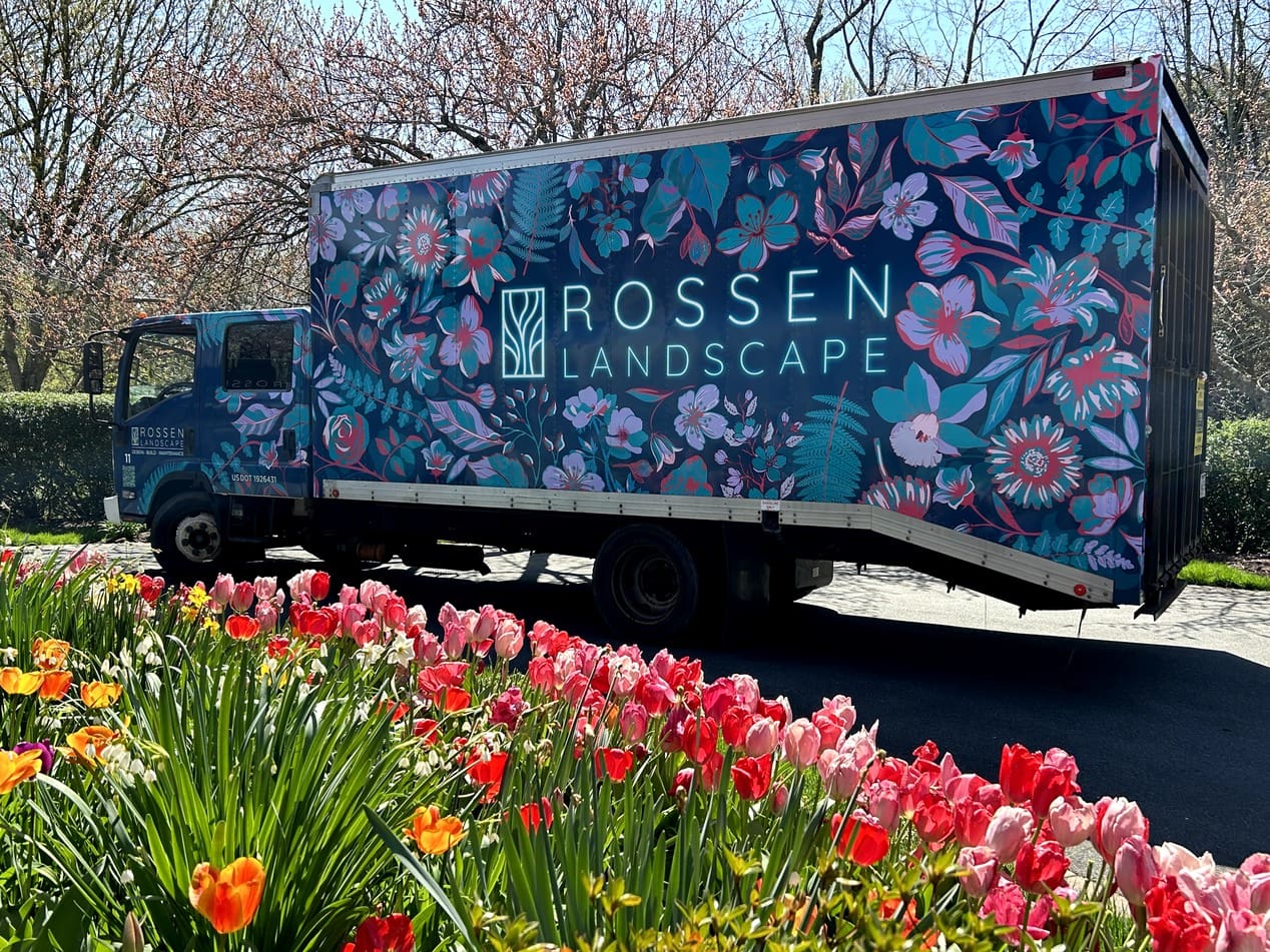 Level Up: Rossen Landscape Seeks Revenue Growth with Sustained Profit ...