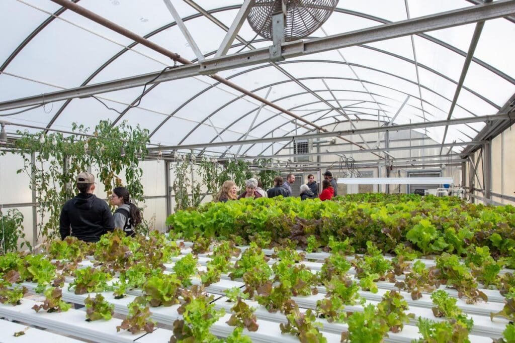 The Gold Standard for Landscape Education: How NALP Accreditation ...