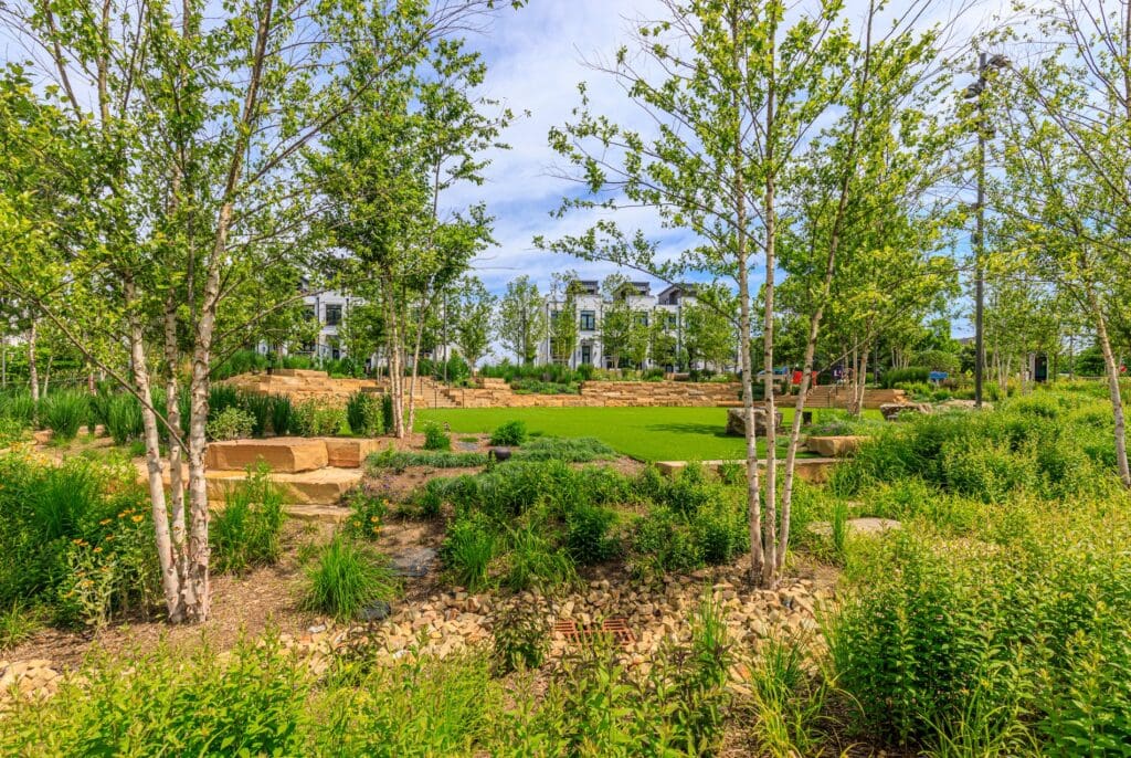 Landscapes of the Month: Transforming the Heart of a Community - The ...