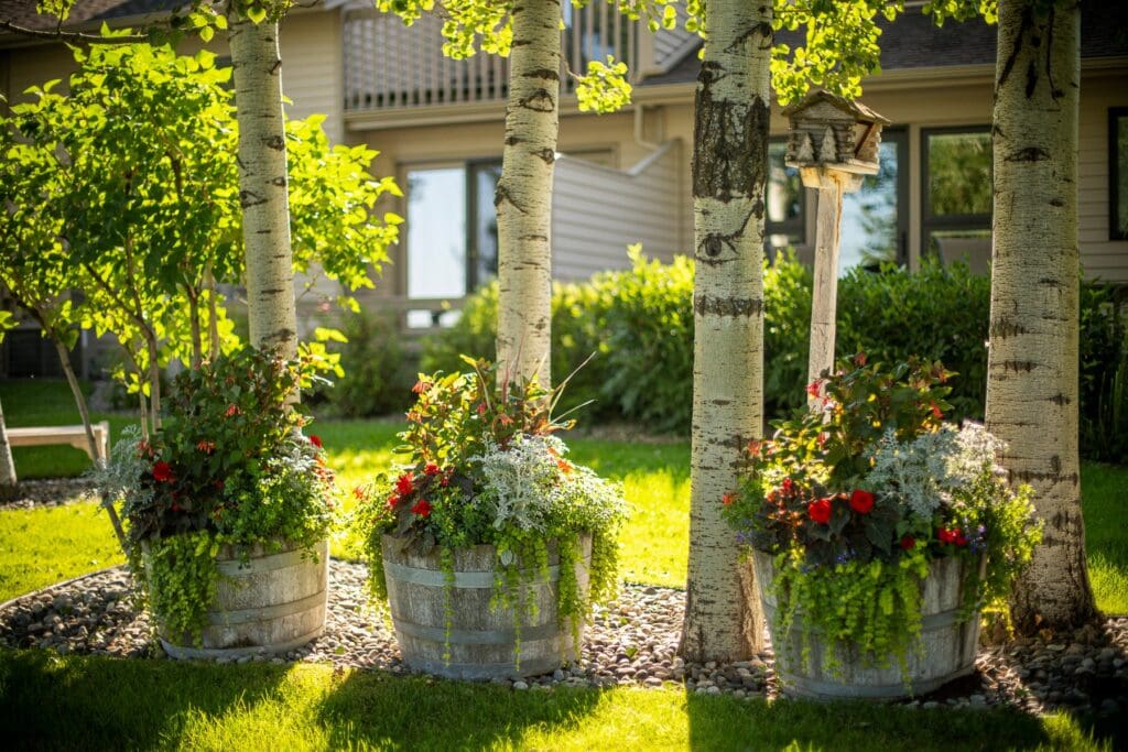 Level Up: Blanchford Landscape Group's Top Talent Drives Their 15% ...