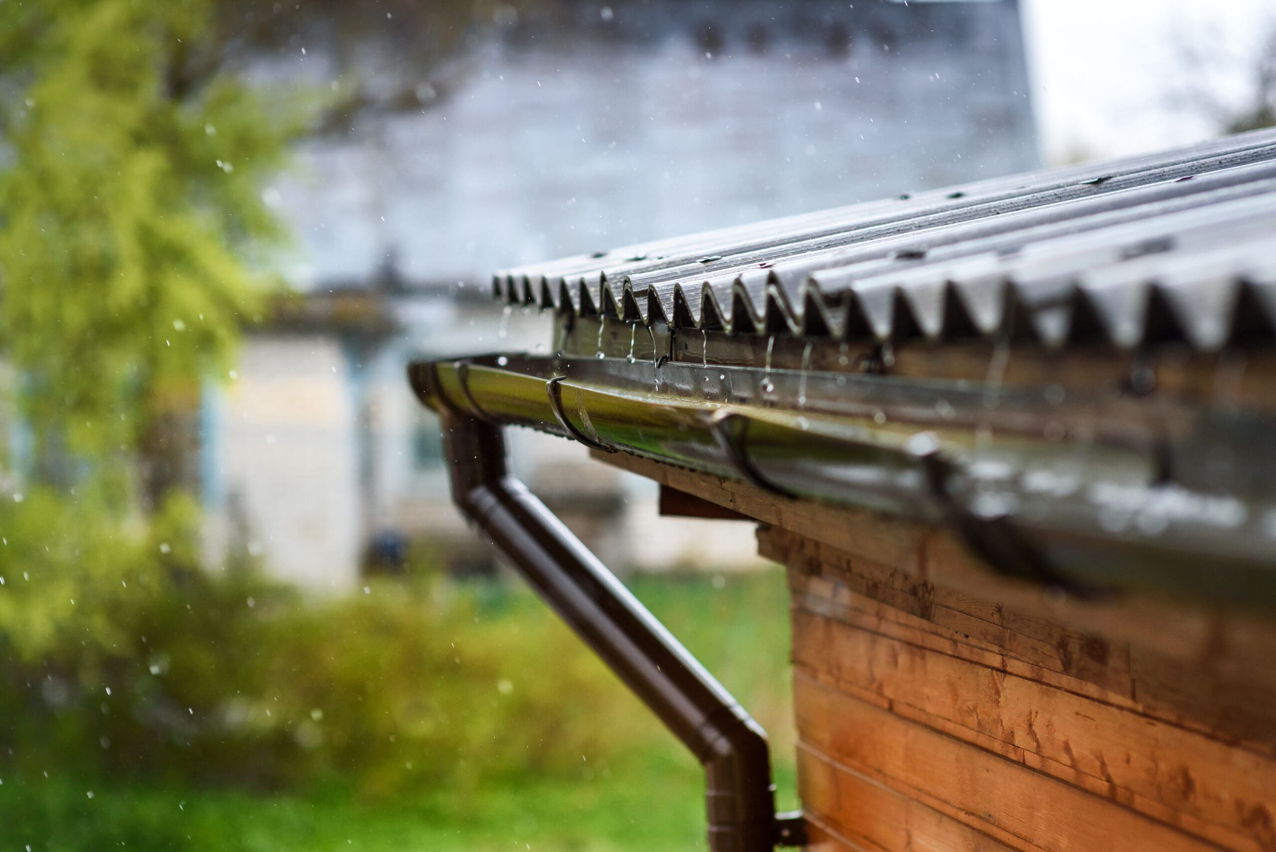From Gutters to Gardens: Rainwater Harvesting 101 - The Edge from the ...