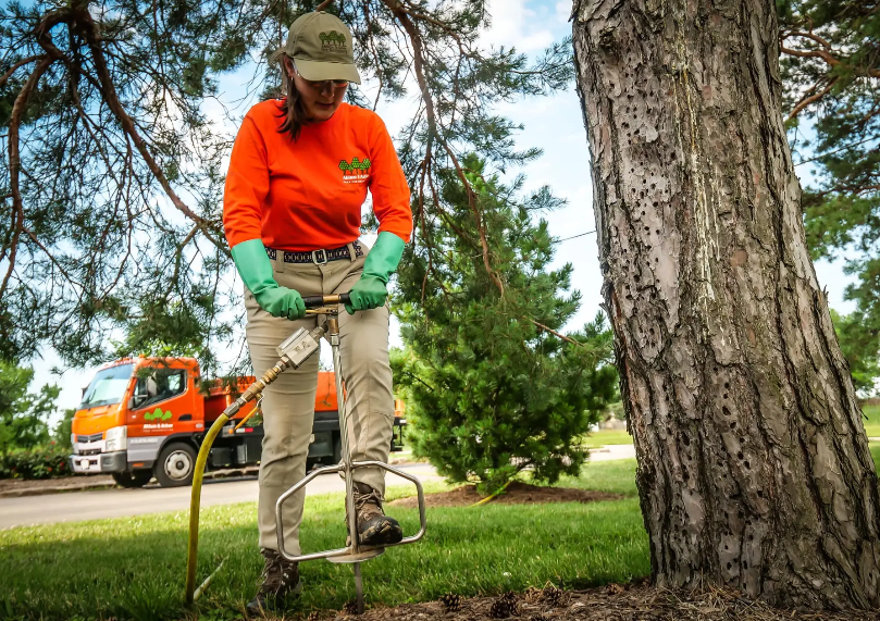 Tree Nutrition: Focusing on Prescription Fertilization - The Edge from ...