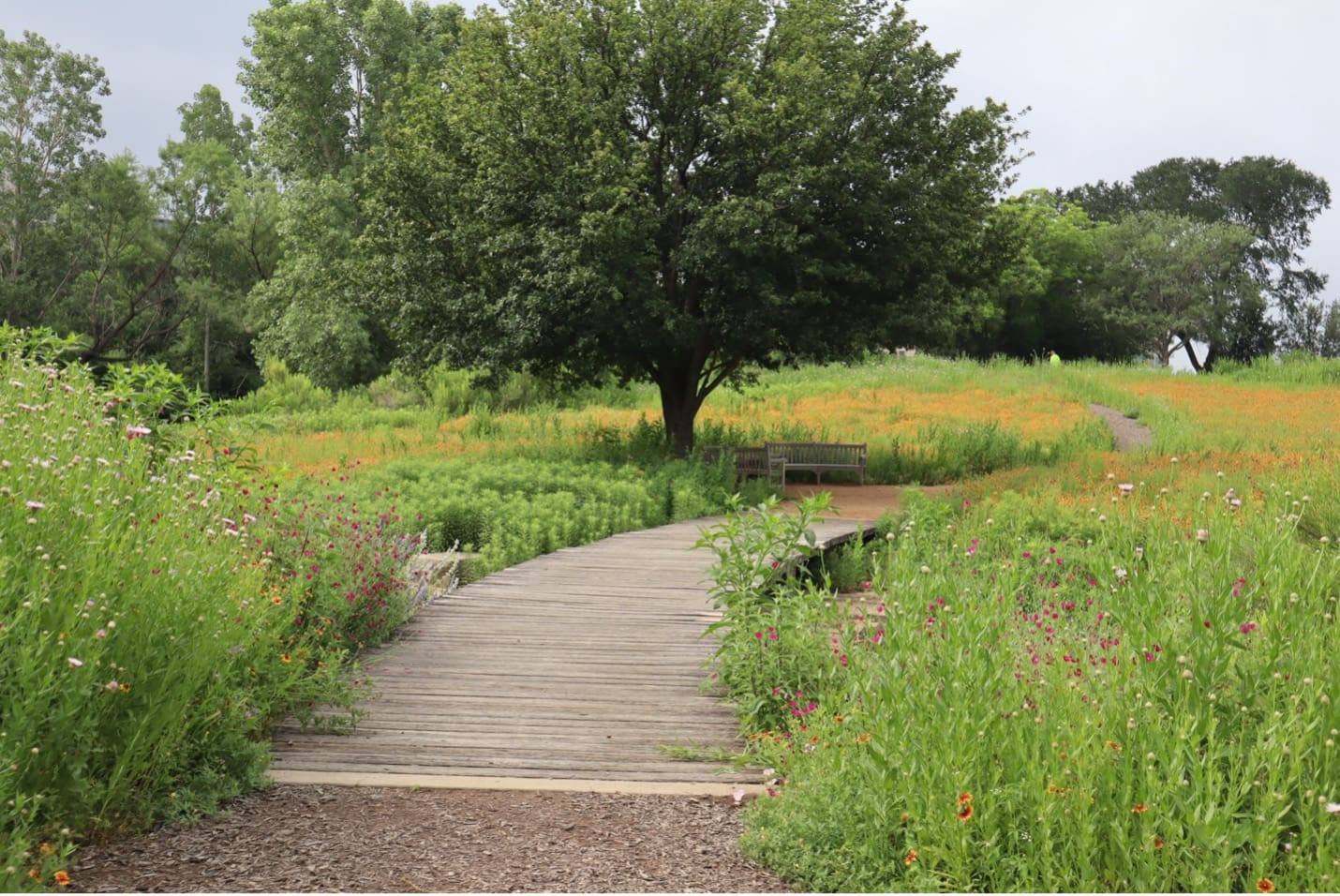 Landscapes of the Month: Creating a Sustainable Native Ecosystem - The ...